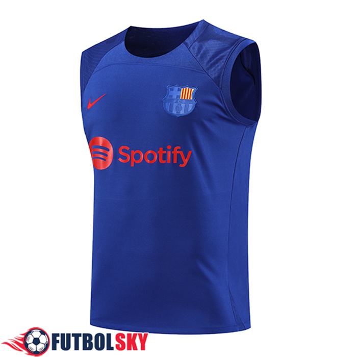 Comprar Chalecos De Futbol FC Barcelona Azul 2023/2024 Personalizadas ...